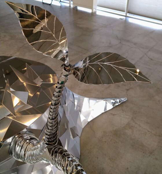 DSC_0425_2 | ゆずぶろ